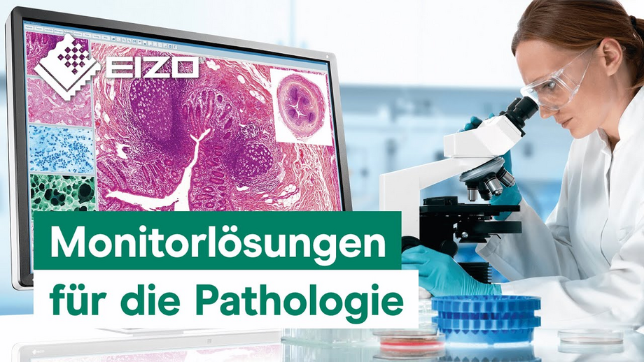 EIZO Monitore für die Pathologie